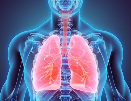 AANDOENING COPD - Fysiotherapie de Weijver